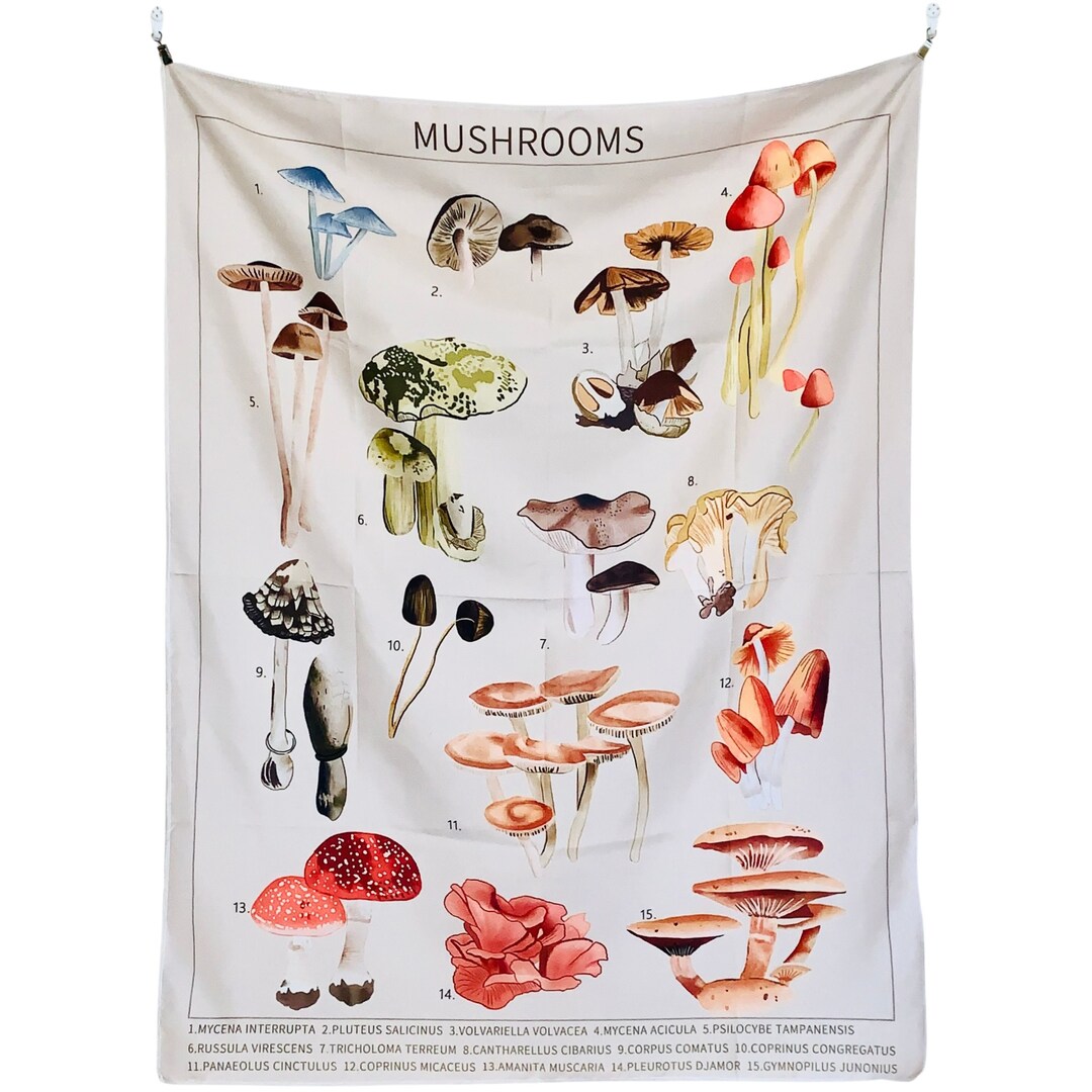 Mushroom Identification Chart Tapestry – Mycology Wall Hanging ...