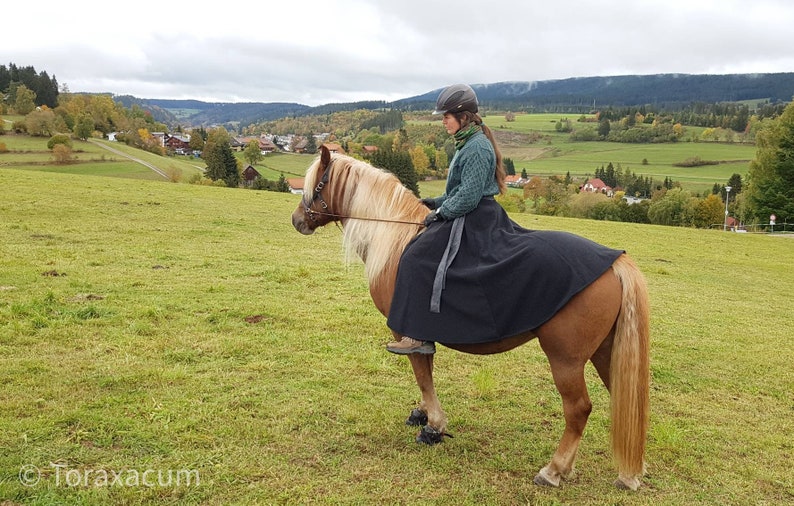 Riding Skirt Gray Wool XS-XL Wrap Skirt Anthracite Horse and - Etsy UK