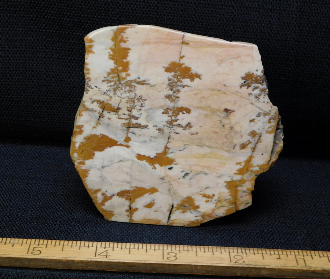 Scenic Owyhee Valley Polished Jasper Piece Oregon - Etsy