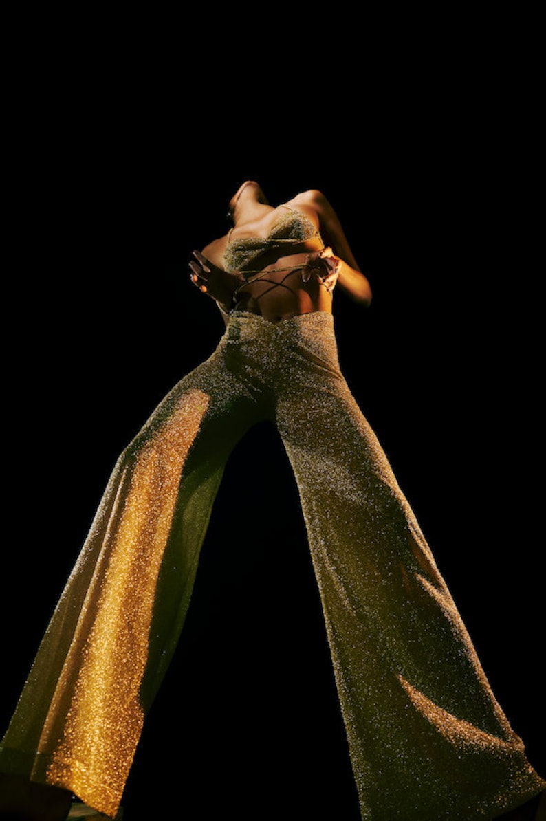 Cher V Top. 70s Lurex Top. Cher Costume. Cher Costume 70s. Gold Lurex ...