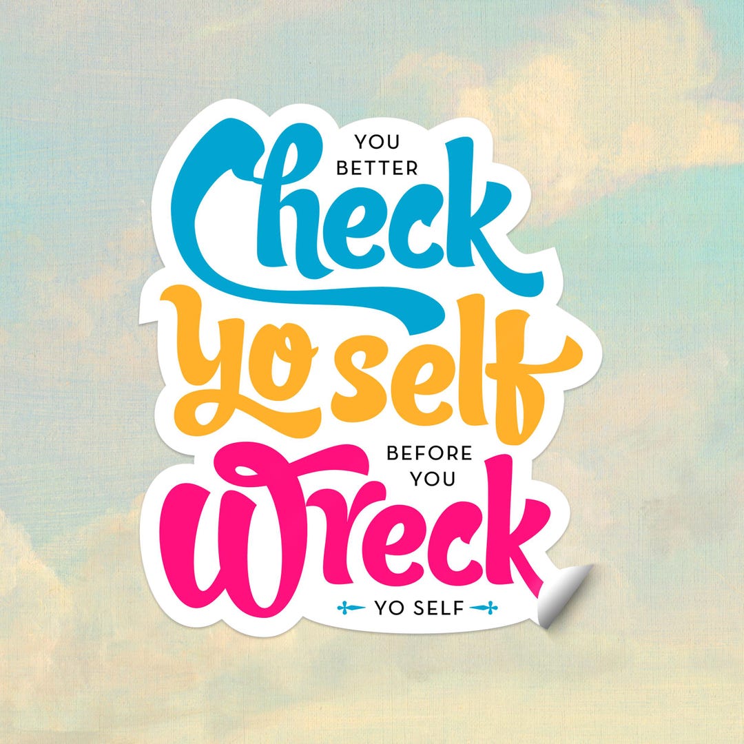 Vinyl Sticker Check Yo Self Before You Wreck Yo Self | Weatherproof 3.5 ...
