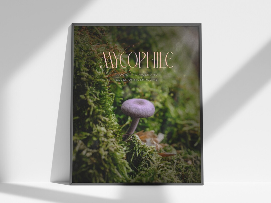 Mushroom Art Print: Mycophile Gift, Nature Lover Wall Decor - Etsy