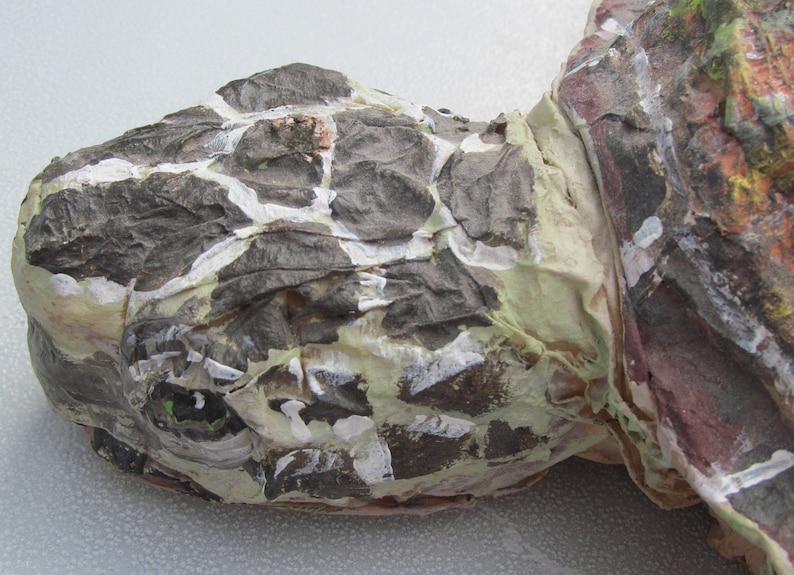 How to Make a 3D Papier Mache Green Sea Turtle - Etsy