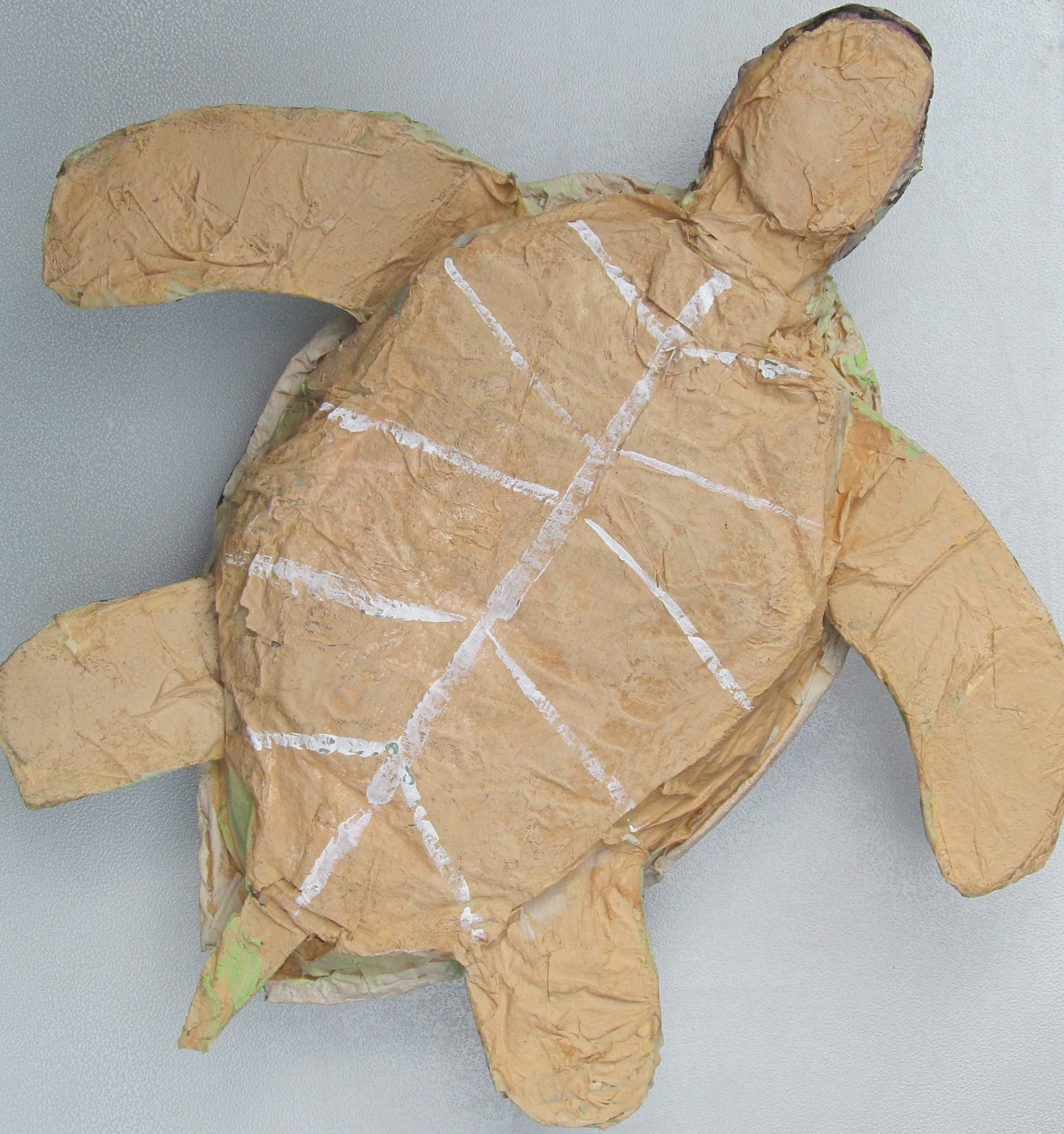 How to Make a 3D Papier Mache Green Sea Turtle - Etsy