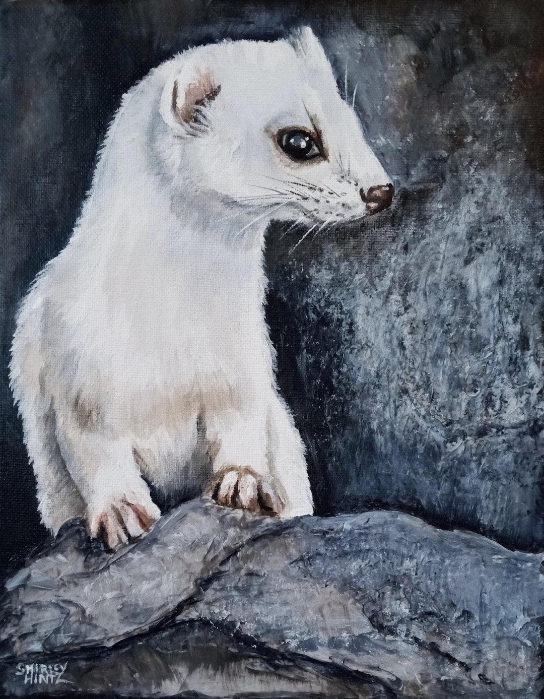 Stoat Portrait on 8 X 10 Inch Stretched Canvas Acrylics With Textured ...