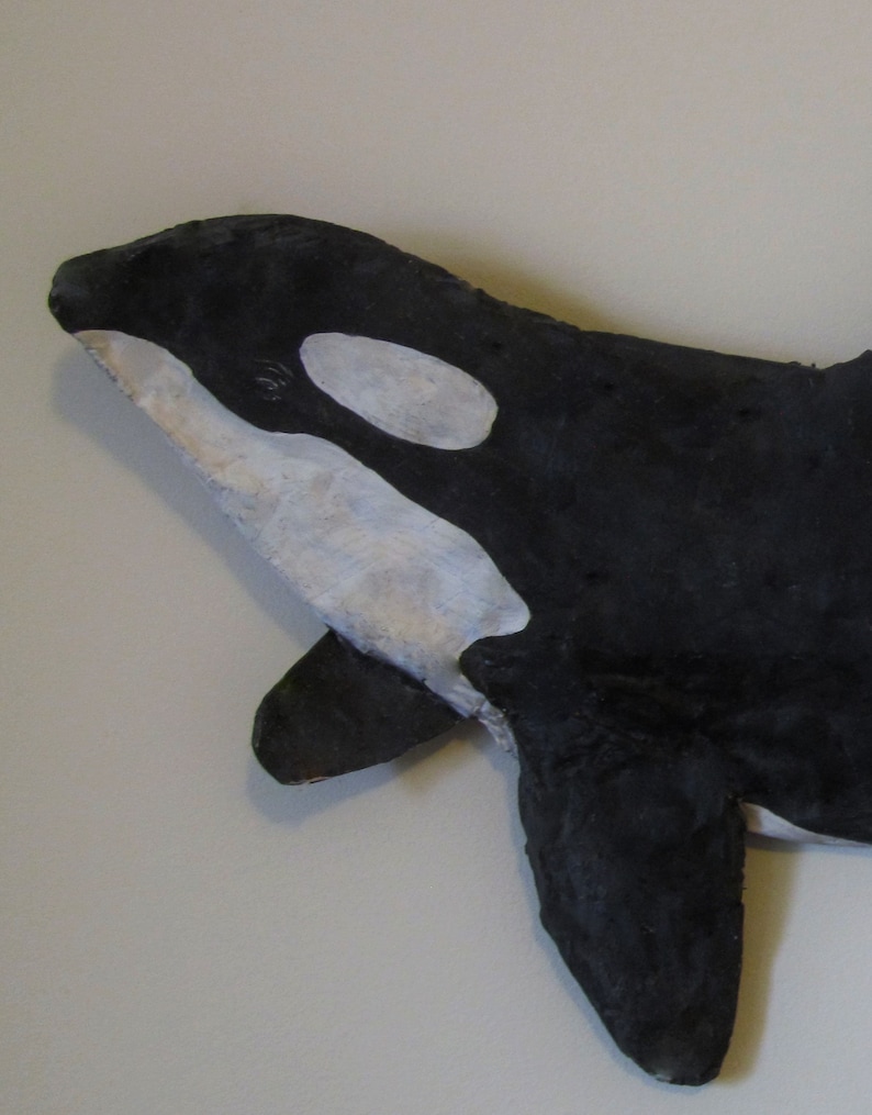 How to Make a Papier Mache Orca (killer) Whale - Etsy Canada