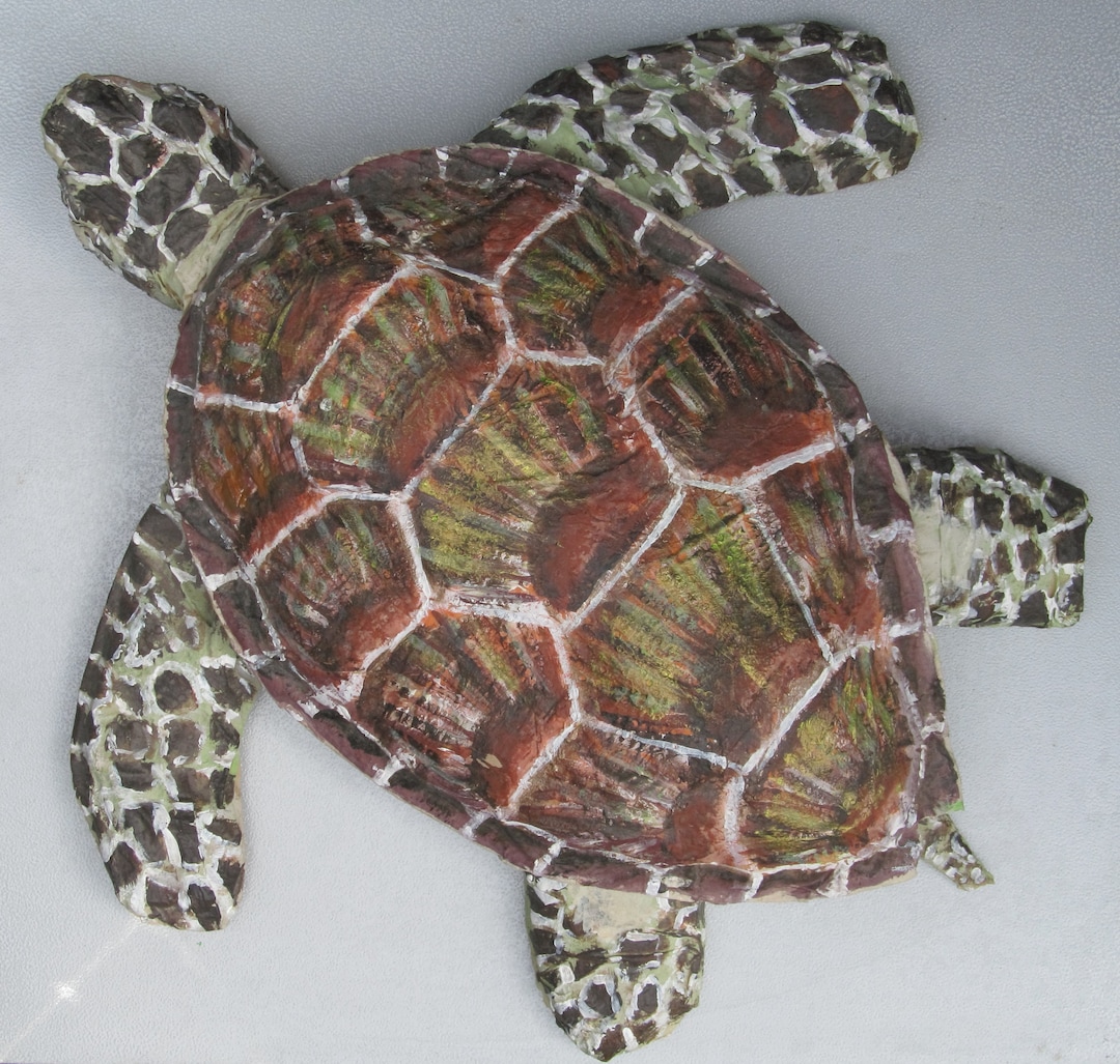 How to Make a 3D Papier Mache Green Sea Turtle - Etsy