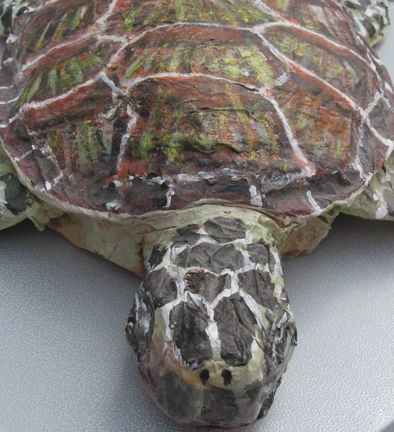 How to Make a 3D Papier Mache Green Sea Turtle - Etsy