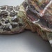 How to Make a 3D Papier Mache Green Sea Turtle - Etsy