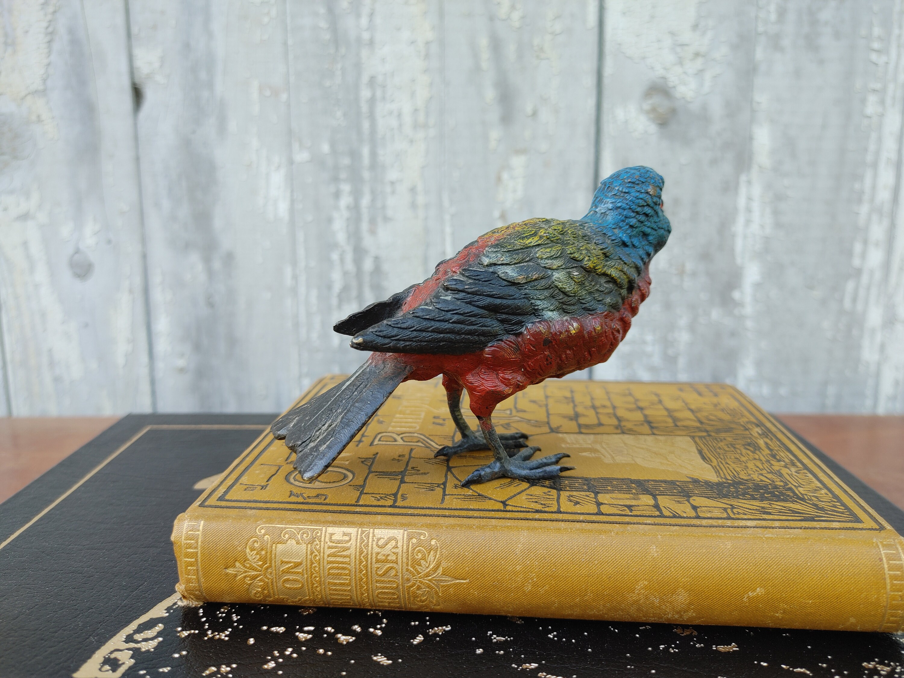 Antique Cold Painted Bronze Painted Bunting Bird Sculpture, Antique ...