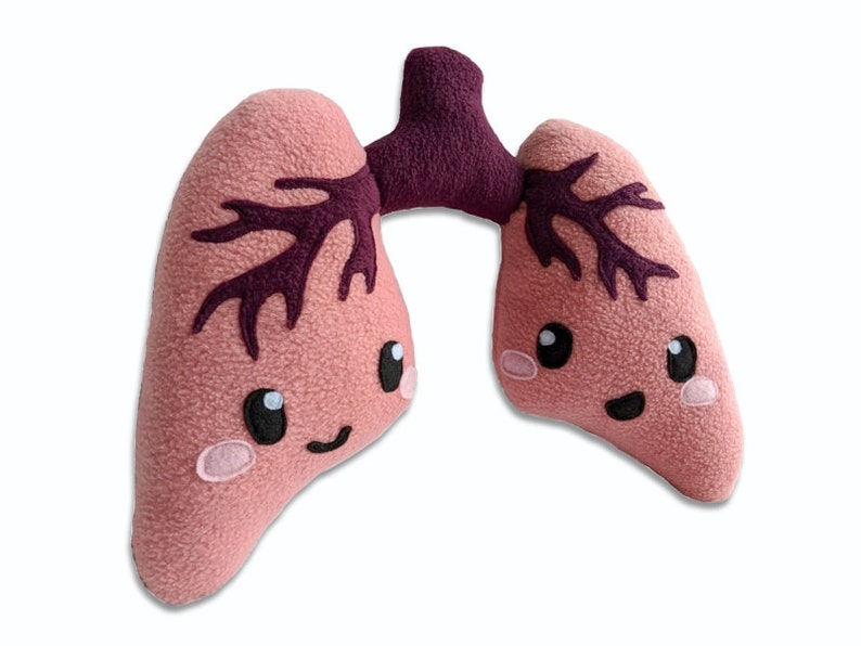 Toys & Games Stuffed Animals & Plushies Lungs plush Kawaii lungs soft ...
