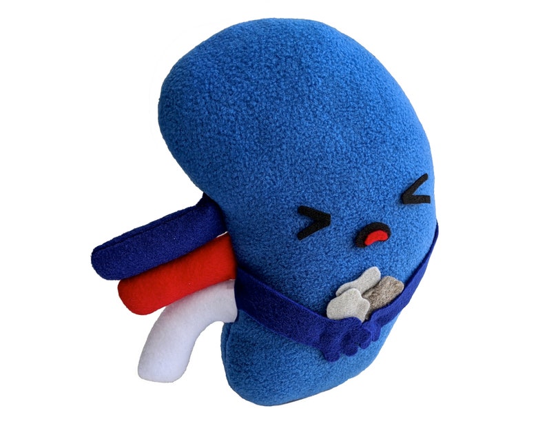 Kidney Toy Plushie Kidney Toy Gift Kidney Stones Toy Kidney | Etsy