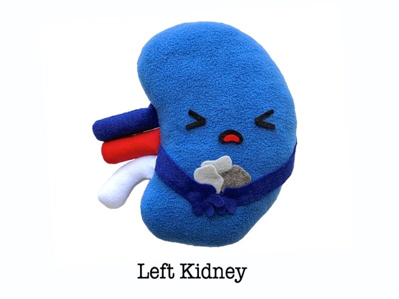 Kidney Toy Plushie Kidney Toy Gift Kidney Stones Toy Kidney | Etsy