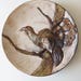 RUSCHA XXL Mid Century Wall Plate, Decor: Turkey, West German Pottery ...