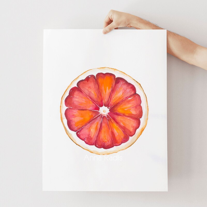 Grapefruit Painting - Etsy