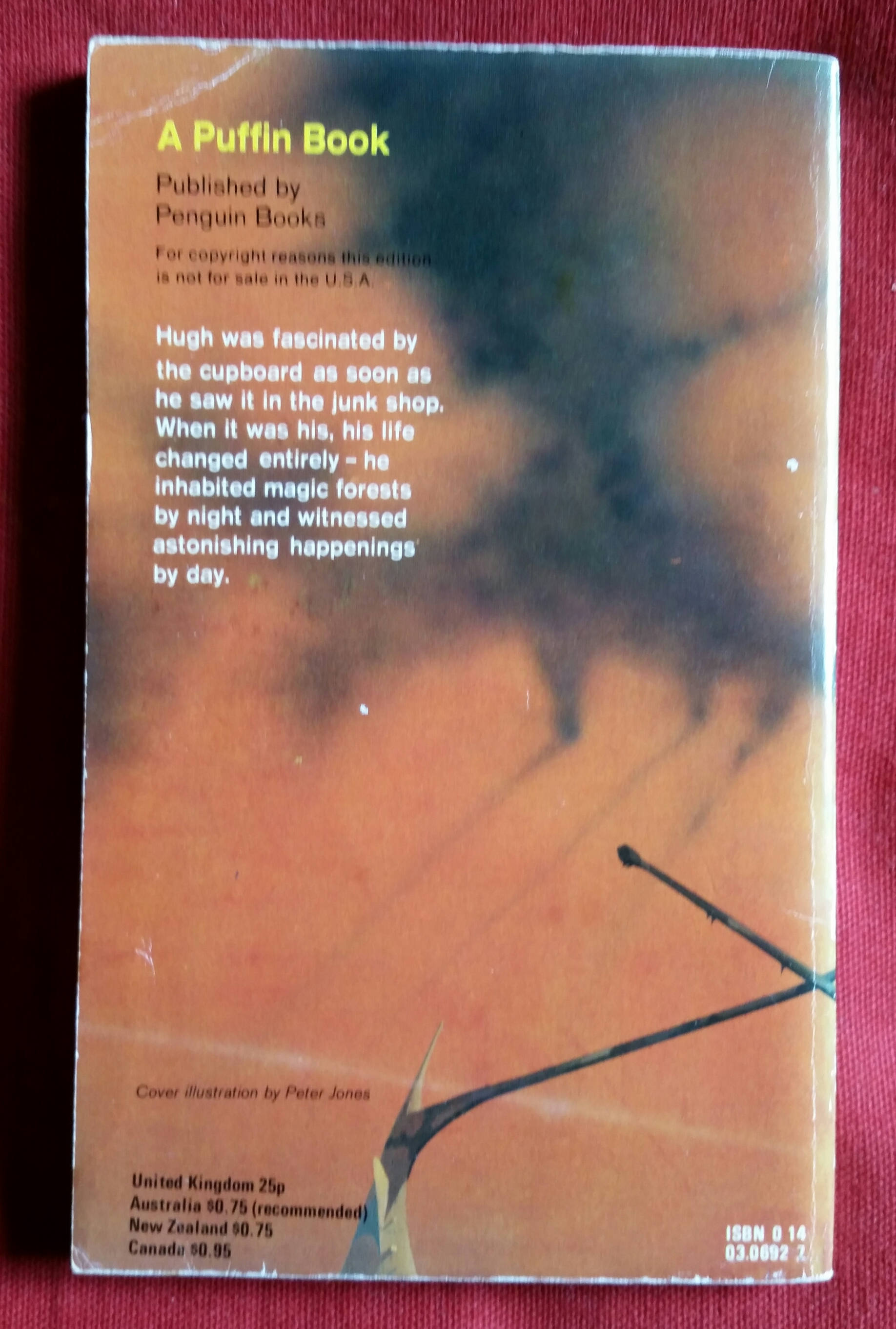 Penelope Farmer A Castle of Bone puffin Books 1974 - Etsy