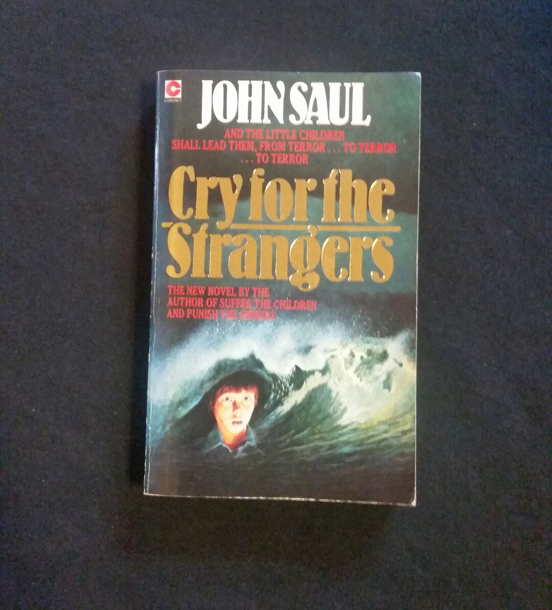 John Saul Cry for the Strangers coronet Books 1980 Vintage Horror ...