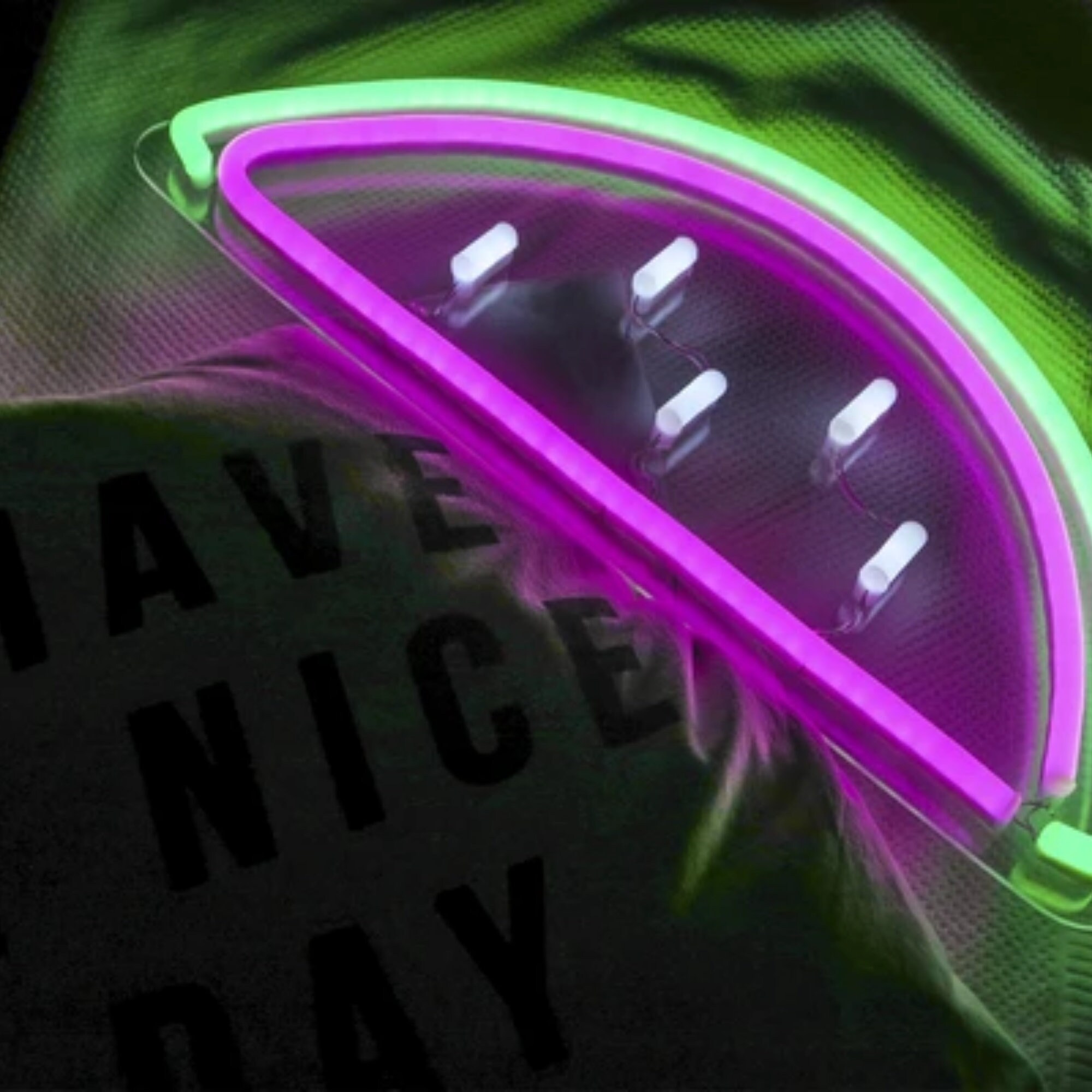 Watermelon LED Neon Sign Food Neon Sign Fruit Neon Sign - Etsy