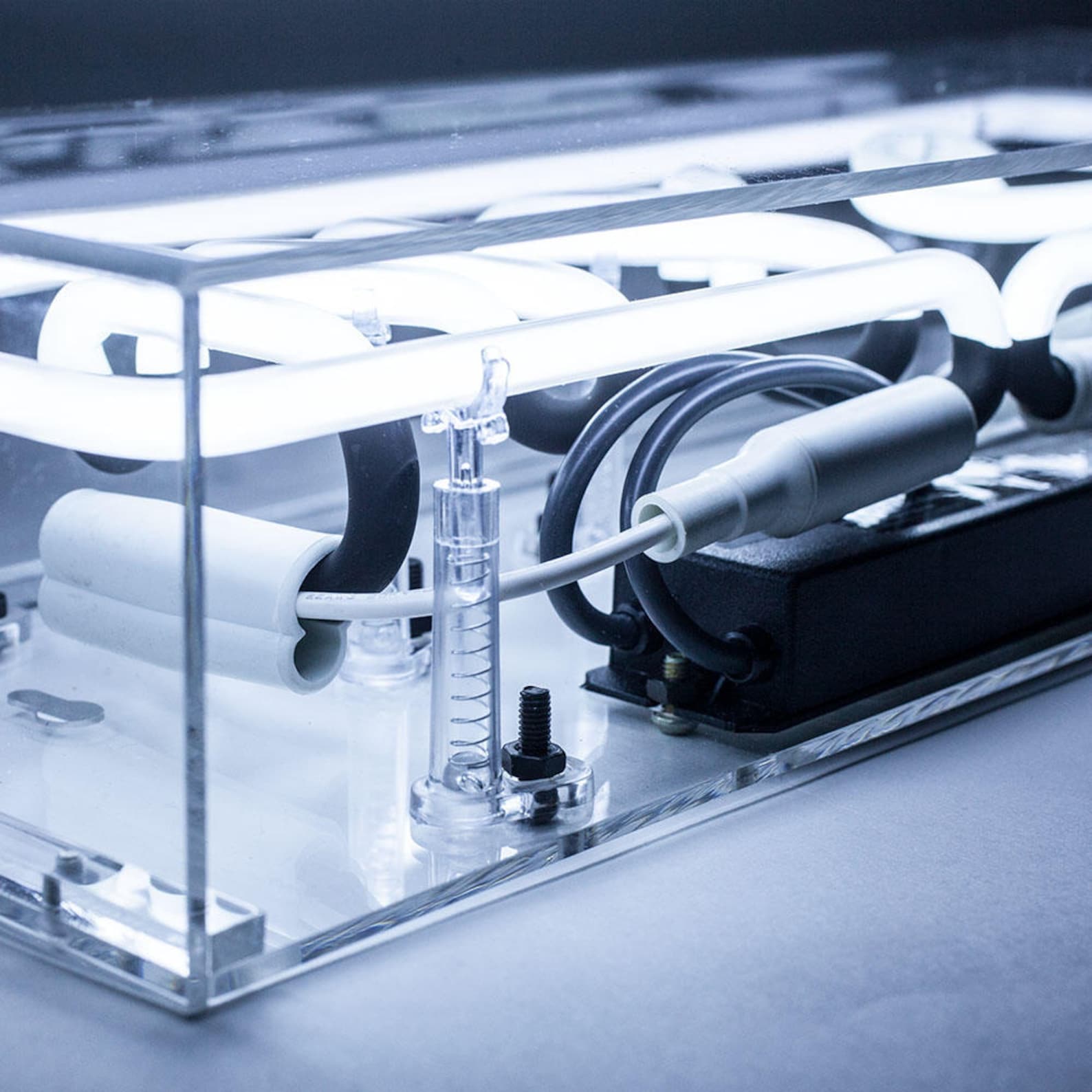 Neon Sign in Acrylic Box - Etsy