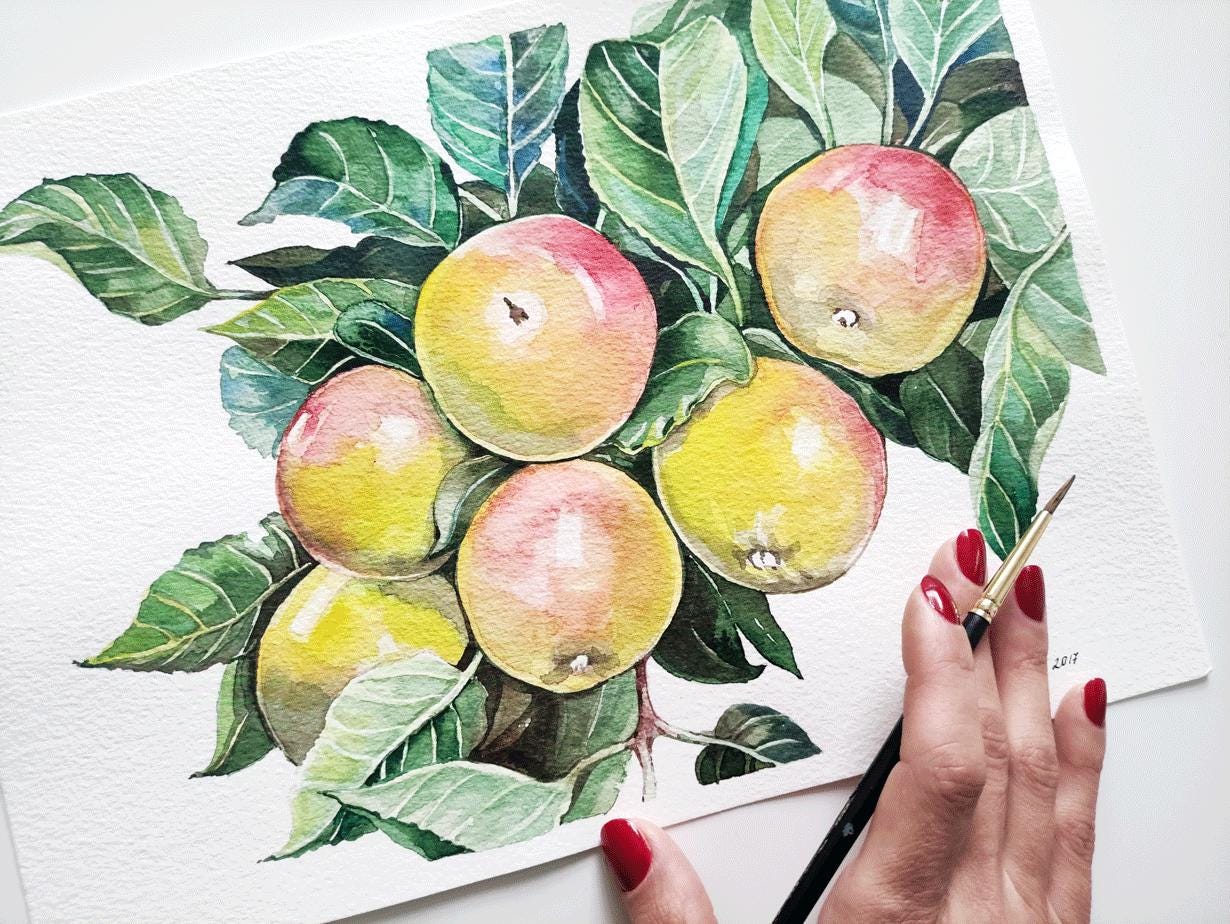 Apples Watercolor Fruit Painting ORIGINAL Watercolor Apples on Tree ...