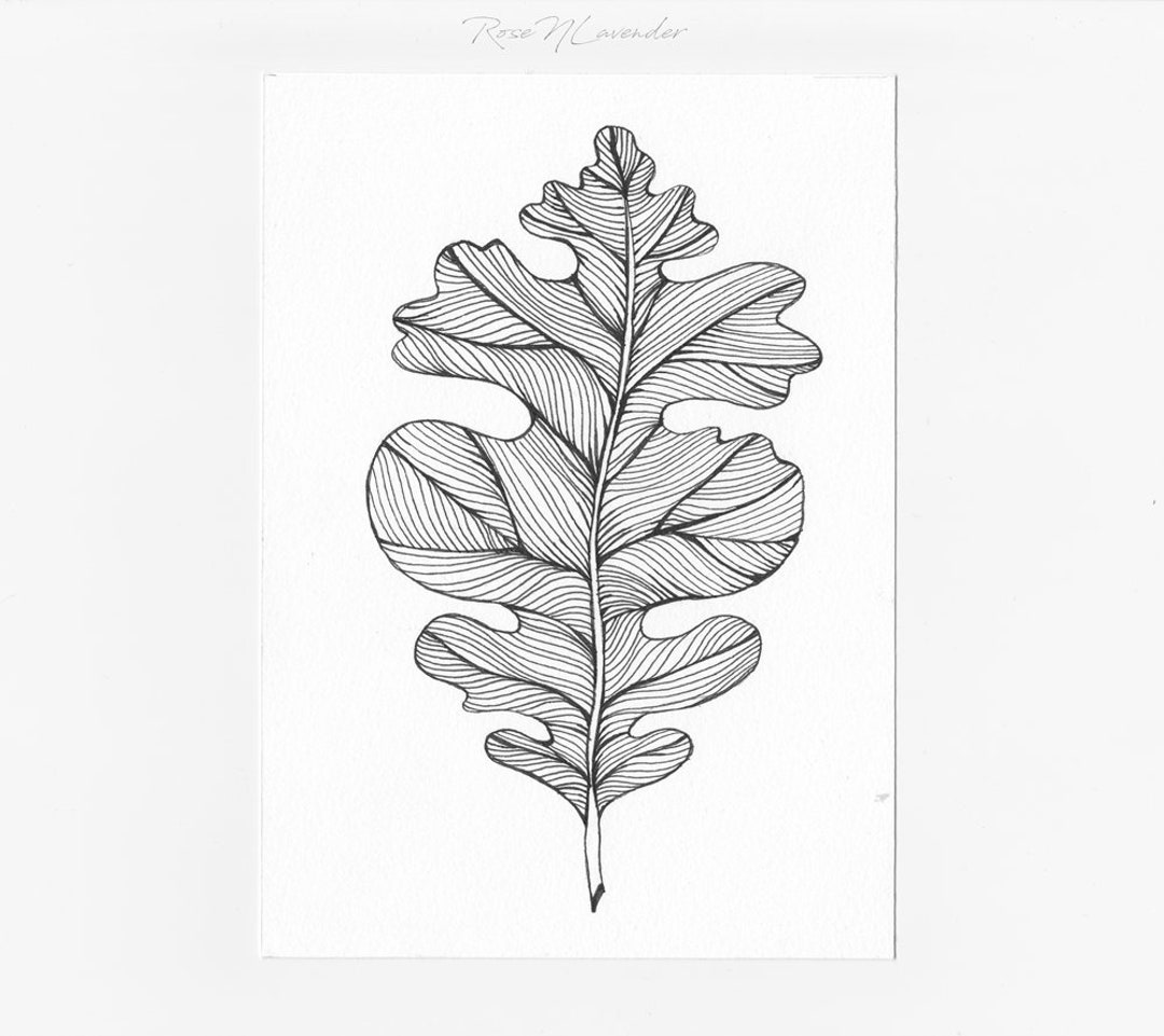 Oak Leaf Illustration, ORIGINAL Painting, Botanical Art, Leaf Painting ...