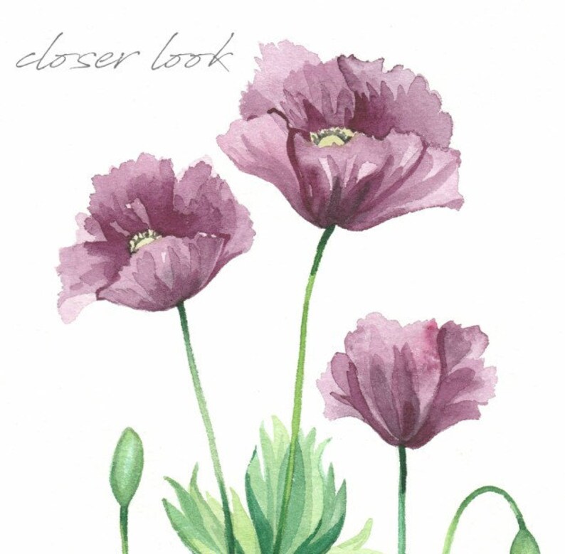 Purple Poppy Flower Painting Sprint Flower ORIGINAL - Etsy