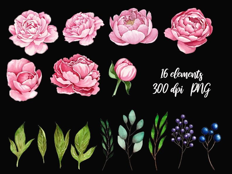Watercolor Peonies Clipart, Spring Wedding Flowers, Wedding Clipart ...