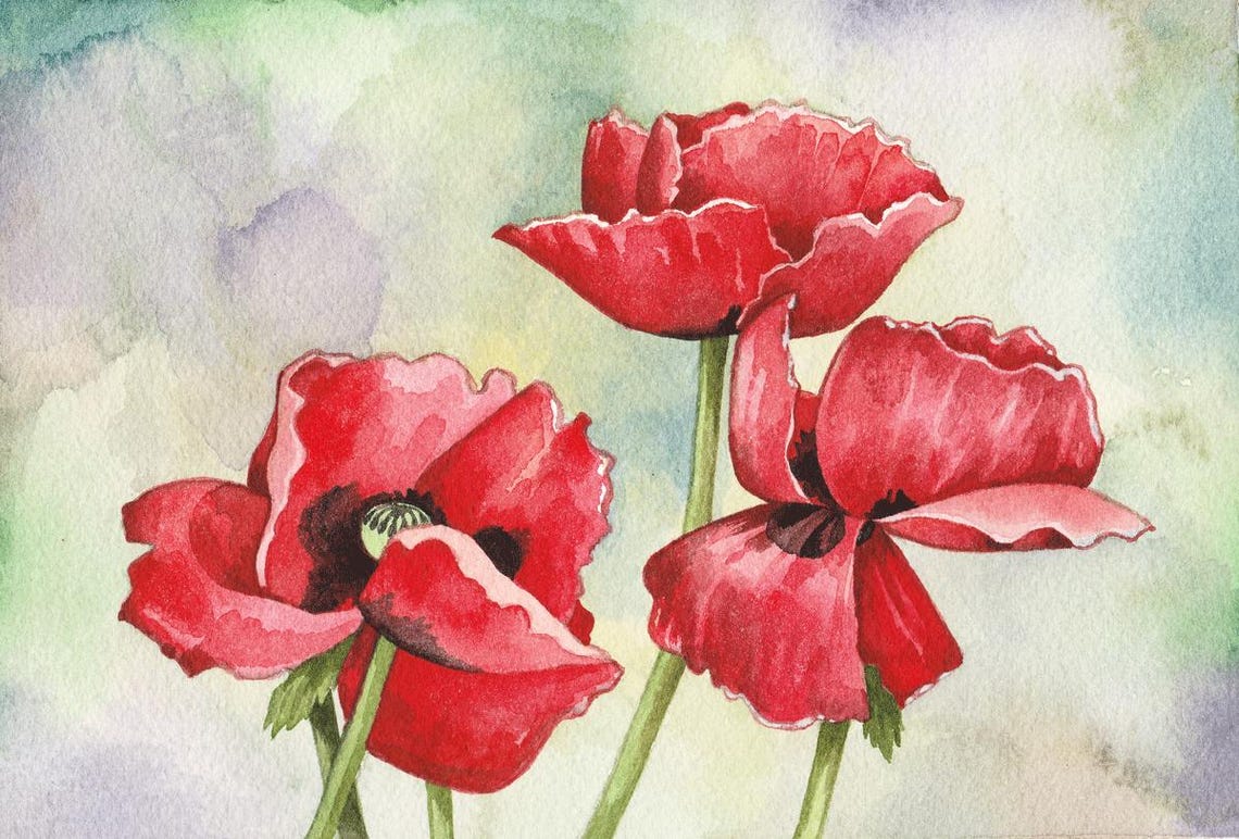 Poppies Watercolor Flower Painting Watercolor Flowers Painting Original ...