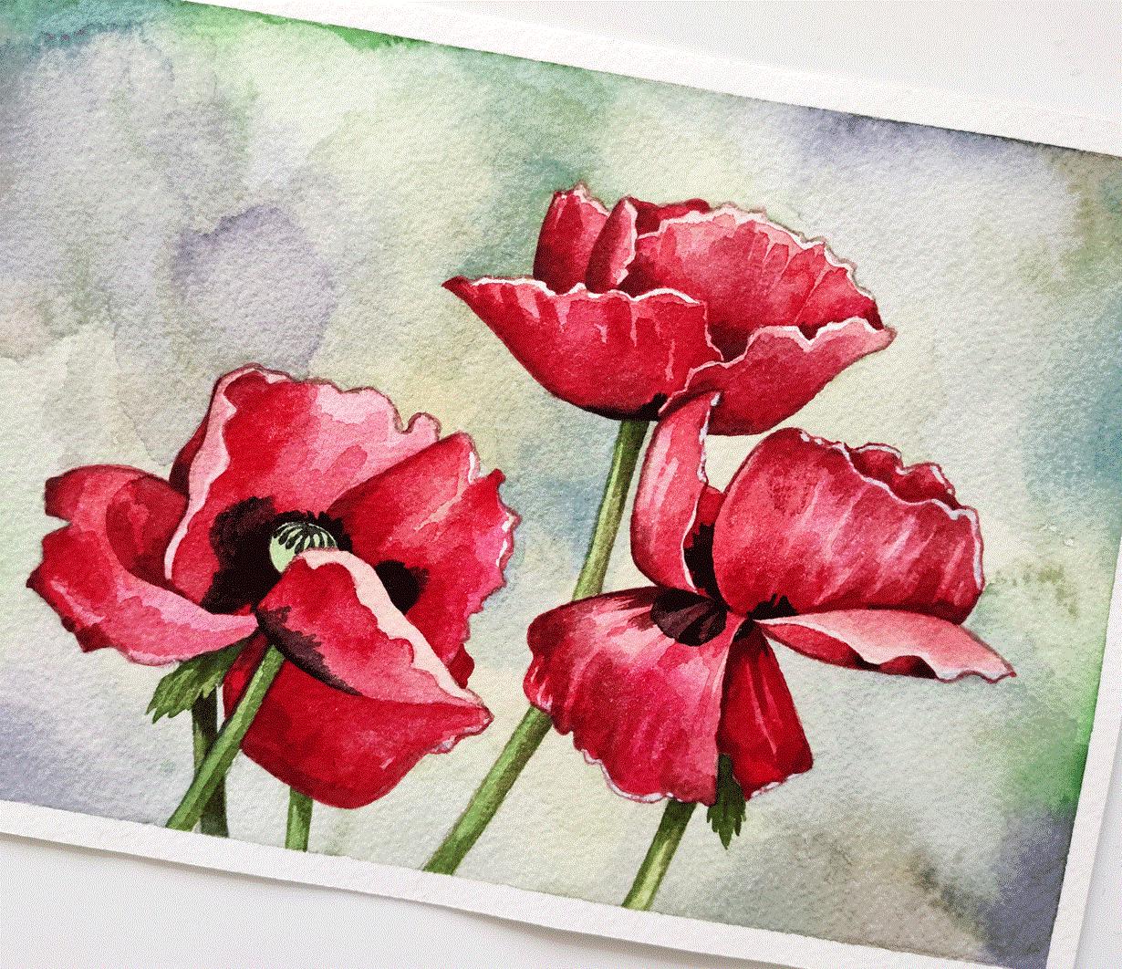 Poppies Watercolor Flower Painting Watercolor Flowers Painting Original ...