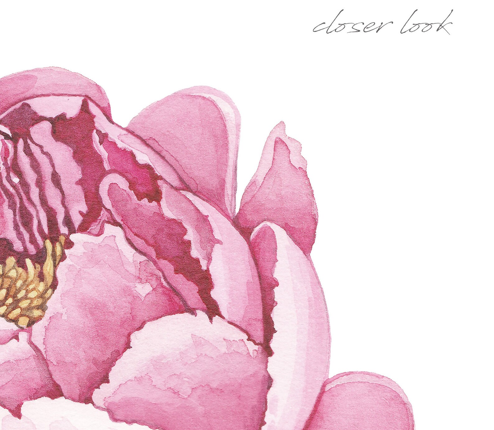 Aquarell Pfingstrose, Pfingstrose Druck, Blumen Wandkunst, Blumen ...