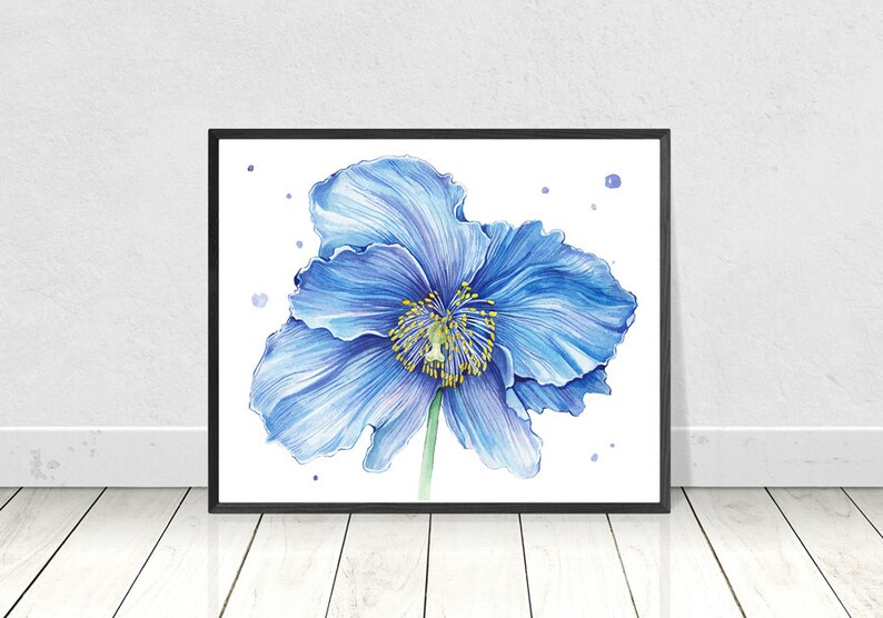 Blue Flower Print Poppy Watercolor Botanical Art Print | Etsy