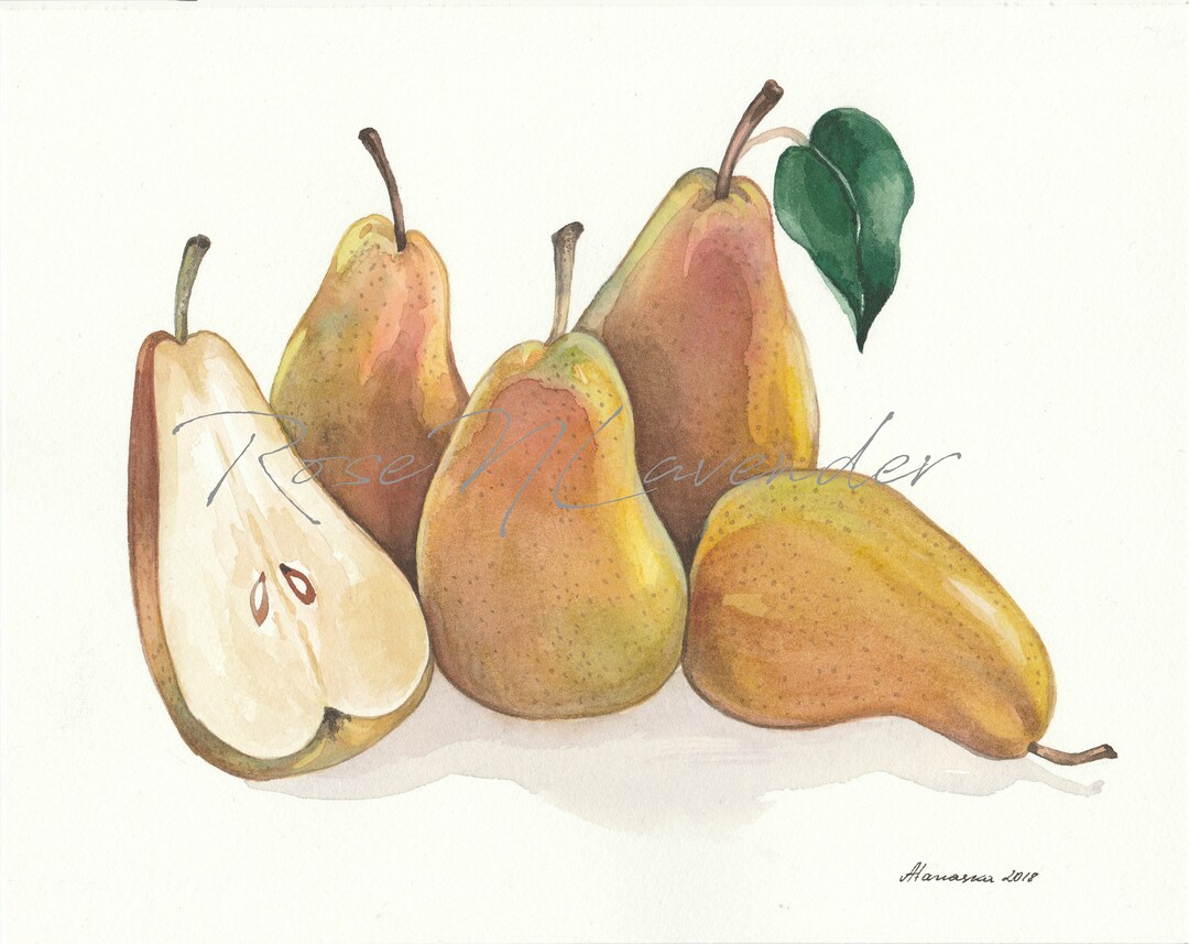 Pears Painting, ORIGINAL Watercolor, Pear Artwork, Fruit Painting ...