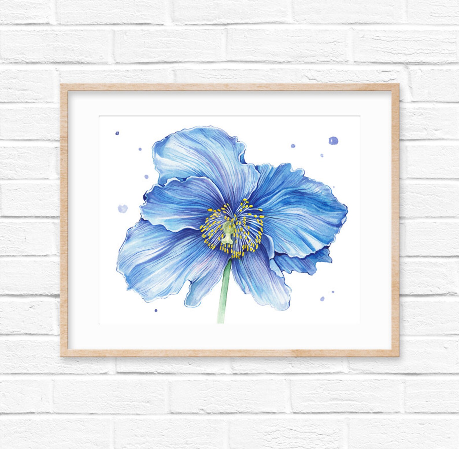 Blue Poppy Print Watercolor Flower Poppy Watercolor Blue - Etsy