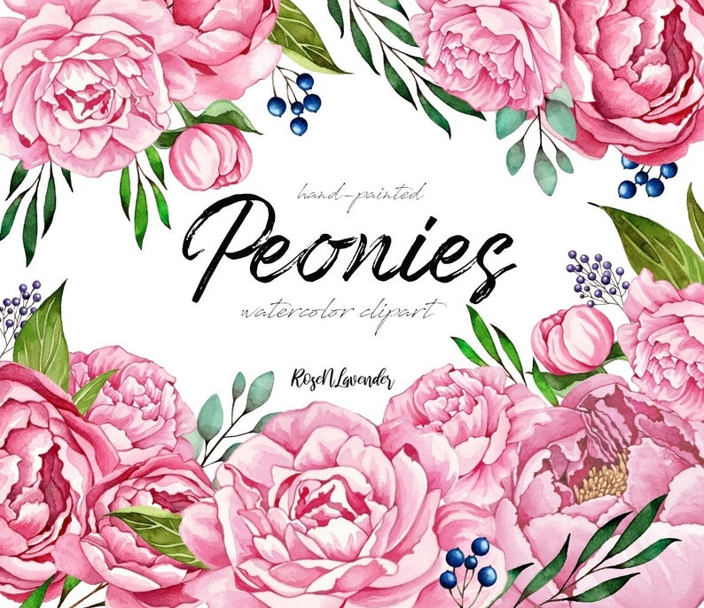 Watercolor Peonies Clipart, Spring Wedding Flowers, Wedding Clipart ...