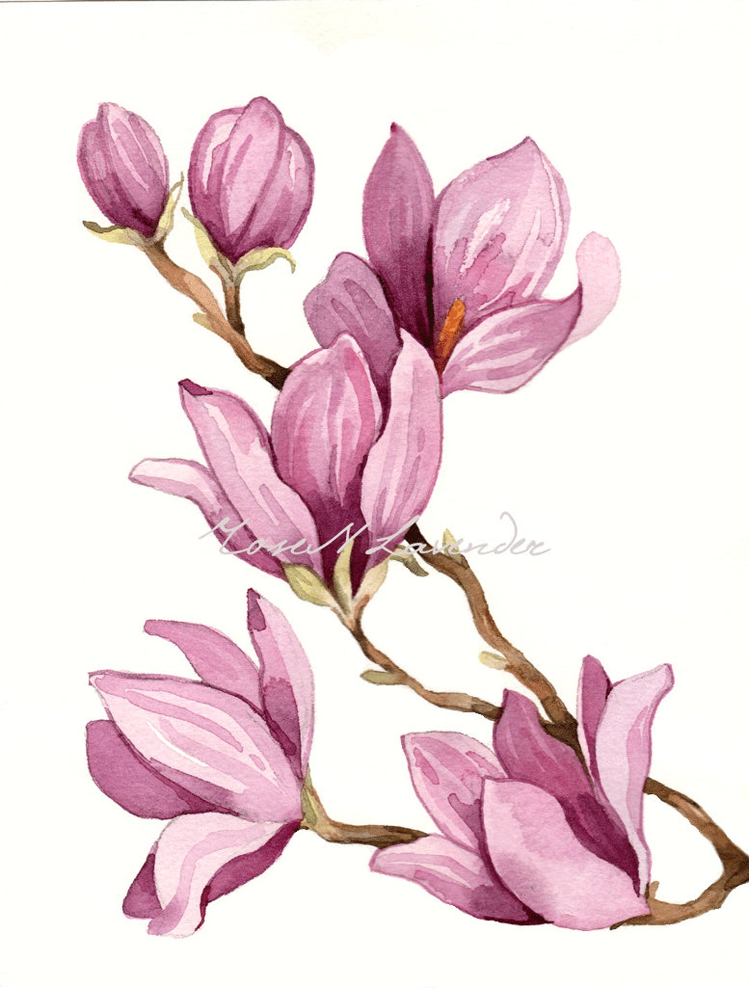 Magnolia Painting, Original Painting, Floral Painting, Watercolor ...