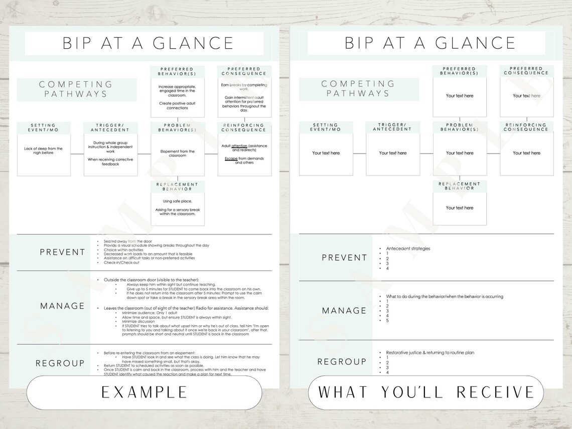 Behavior Intervention Plan | BIP at a Glance | Digital Download ...