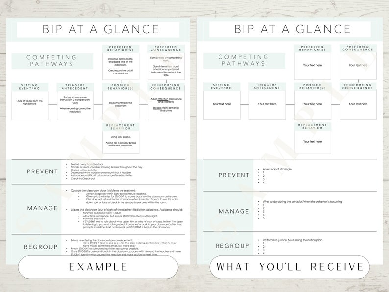 Behavior Intervention Plan | BIP at a Glance | Digital Download ...