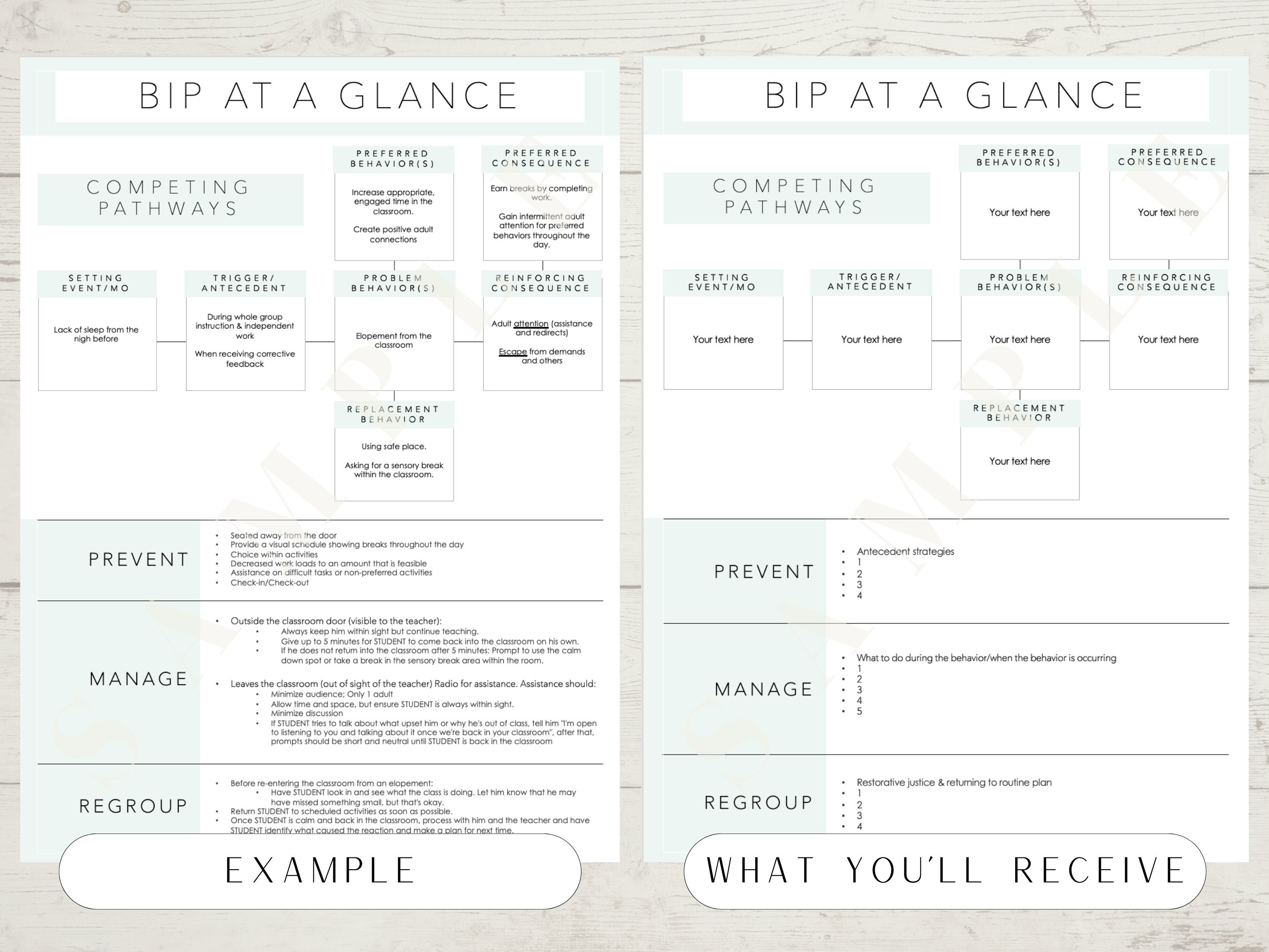 Behavior Intervention Plan | BIP at a Glance | Digital Download ...