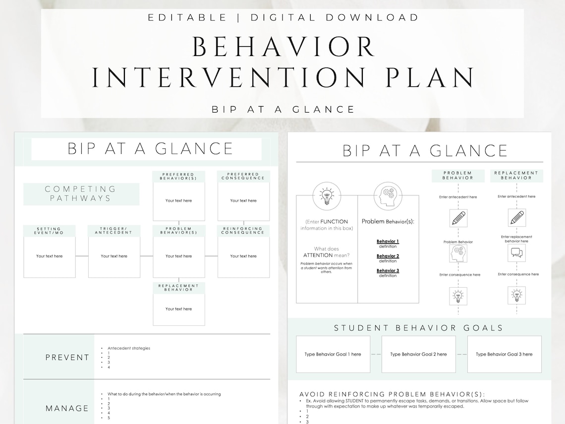 Behavior Intervention Plan | BIP at a Glance | Digital Download ...