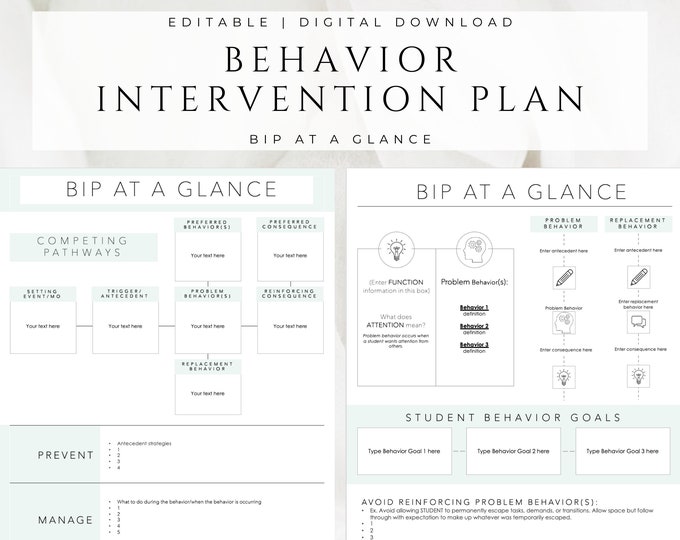 Behavior Intervention Plan | BIP at a Glance | Digital Download ...