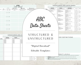 Behavior Intervention Plan BIP at a Glance Digital Download Editable ...