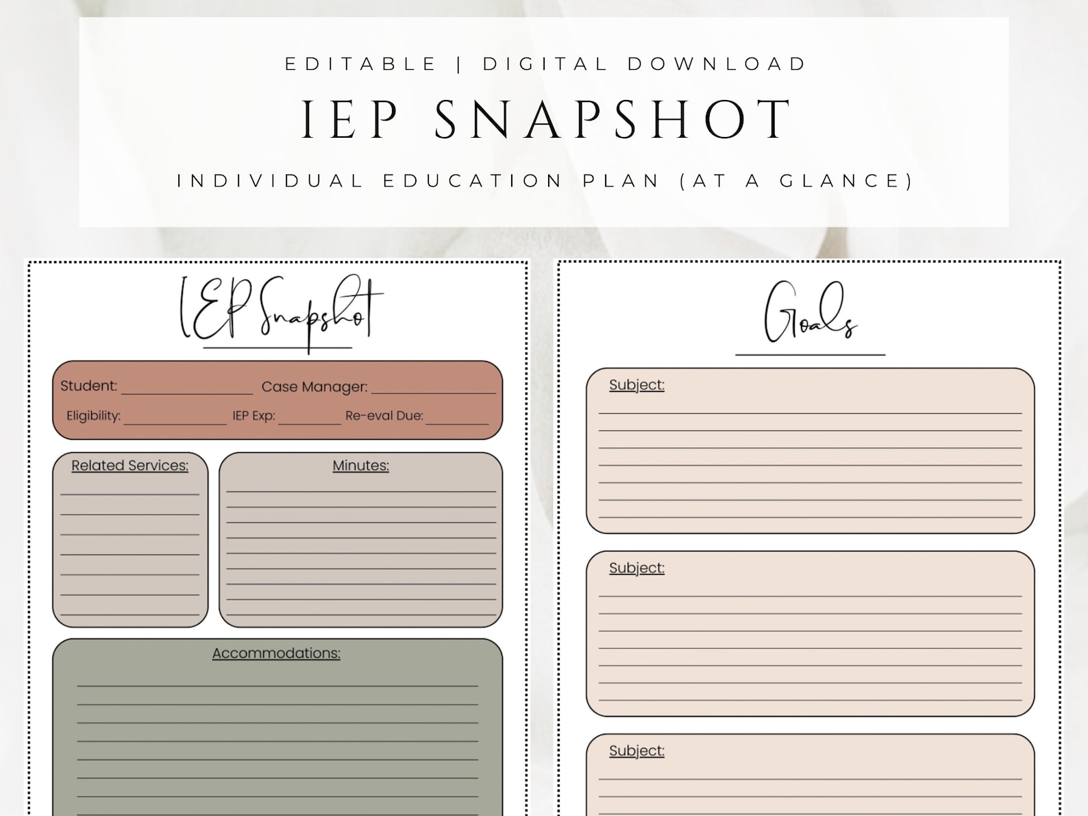 IEP Snapshot | Editable Microsoft Word Document | Special Education ...