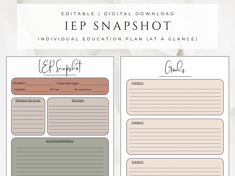 IEP Snapshot | Editable Microsoft Word Document | Special Education ...
