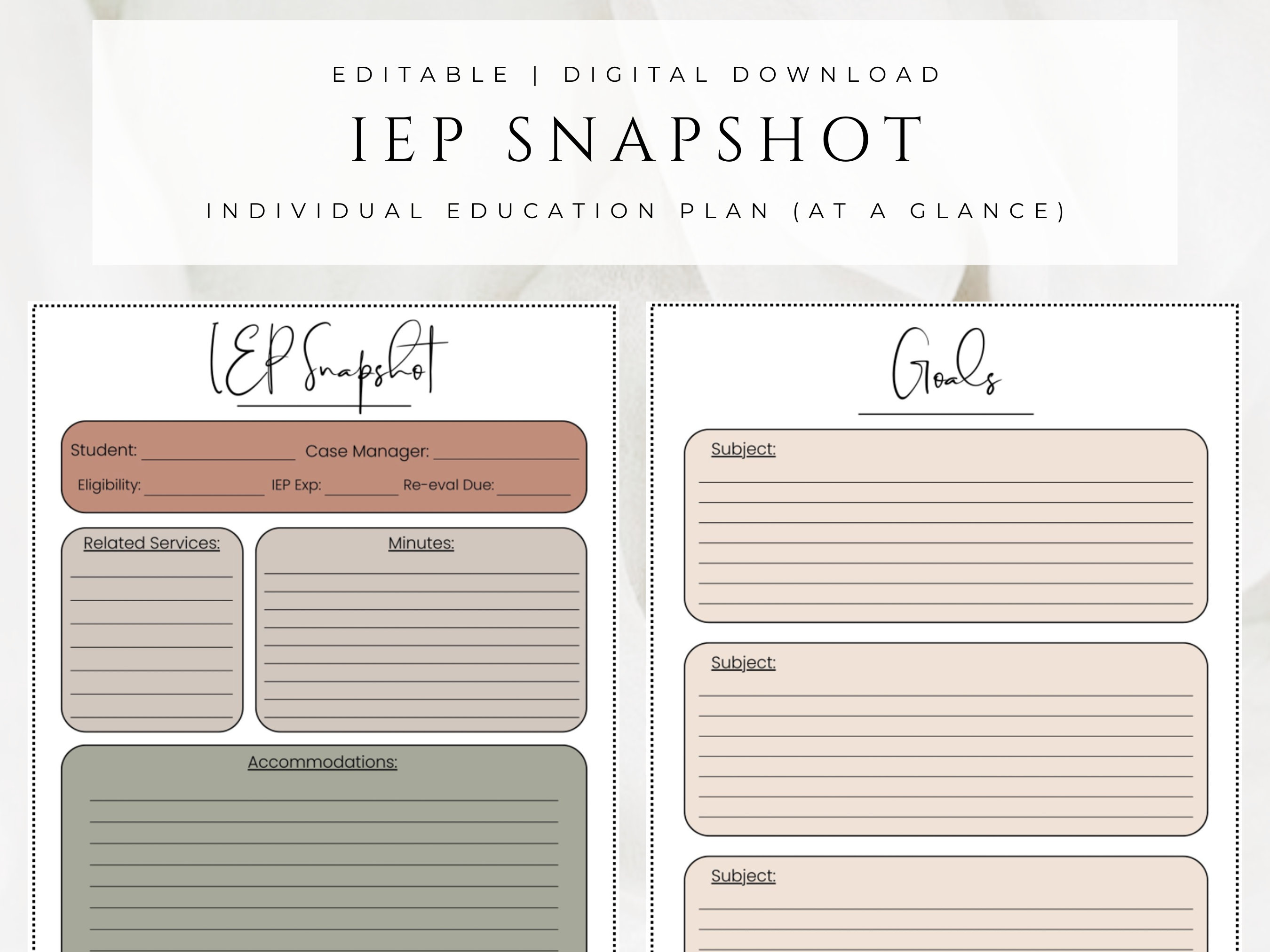 IEP Snapshot | Editable Microsoft Word Document | Special Education ...