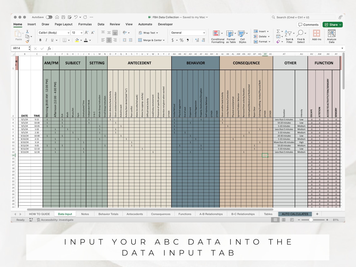FBA Data Spreadsheet | Microsoft Excel | Automatically Generates ...