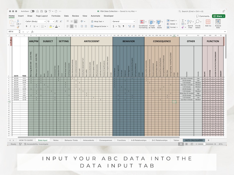 FBA Data Spreadsheet | Microsoft Excel | Automatically Generates ...