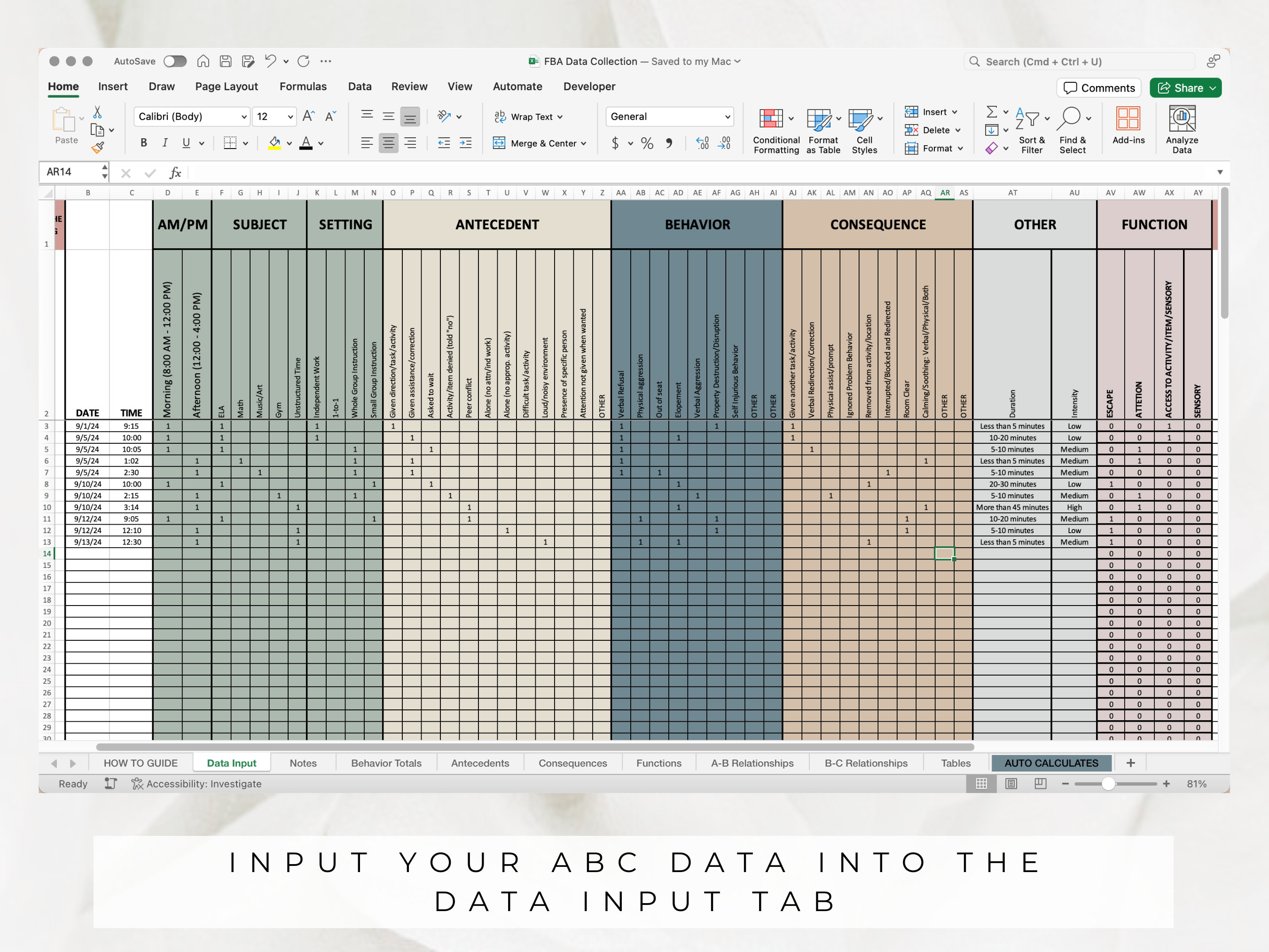 FBA Data Spreadsheet | Microsoft Excel | Automatically Generates ...