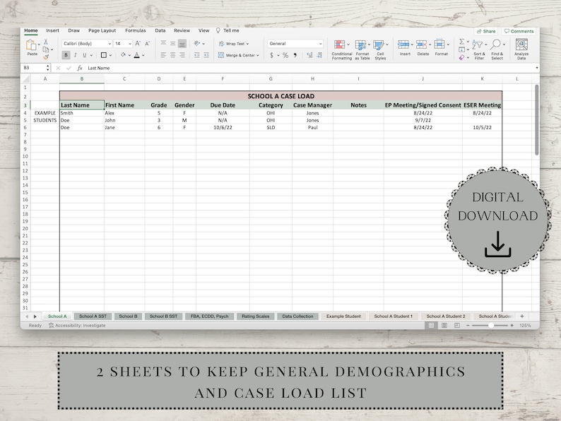 School Psychologist Caseload Spreadsheet | MULTIPLE SCHOOLS | Editable ...