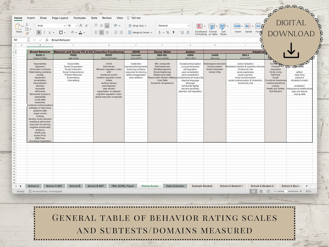 School Psychologist Caseload Spreadsheet MULTIPLE SCHOOLS Editable ...