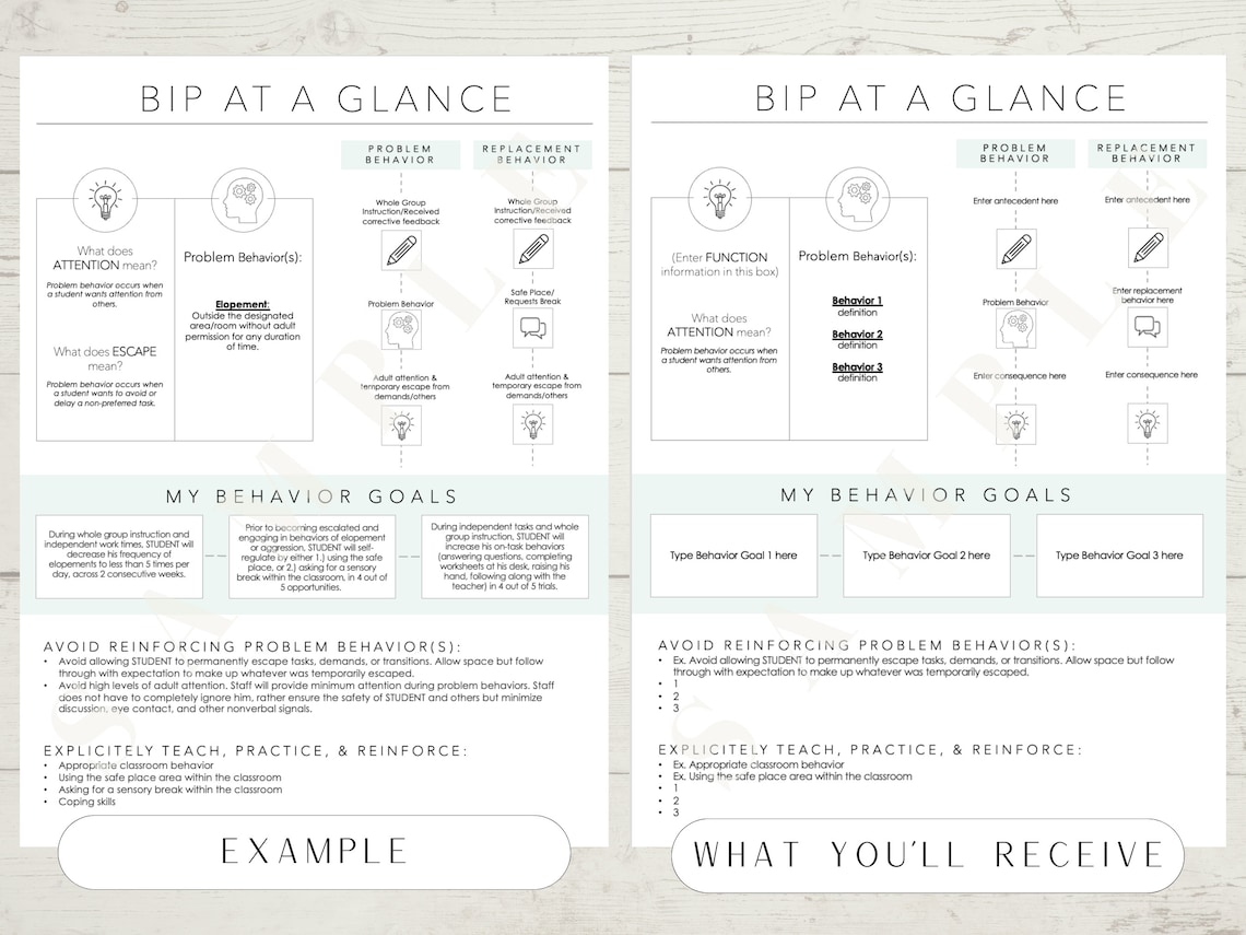 Behavior Intervention Plan | BIP at a Glance | Digital Download ...